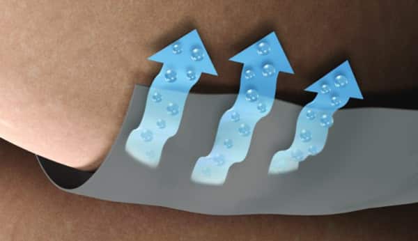 InterDry® – Intertrigo and skin fold management – Coloplast